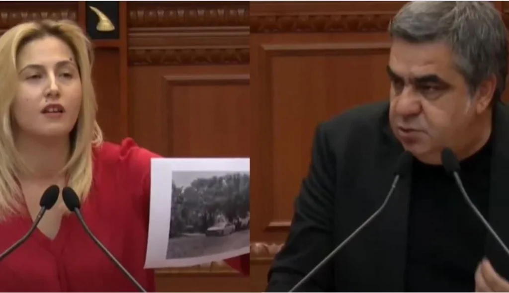 Zhupa tha se kanë parkuar makina në rrënojat historike të Butrintit ...